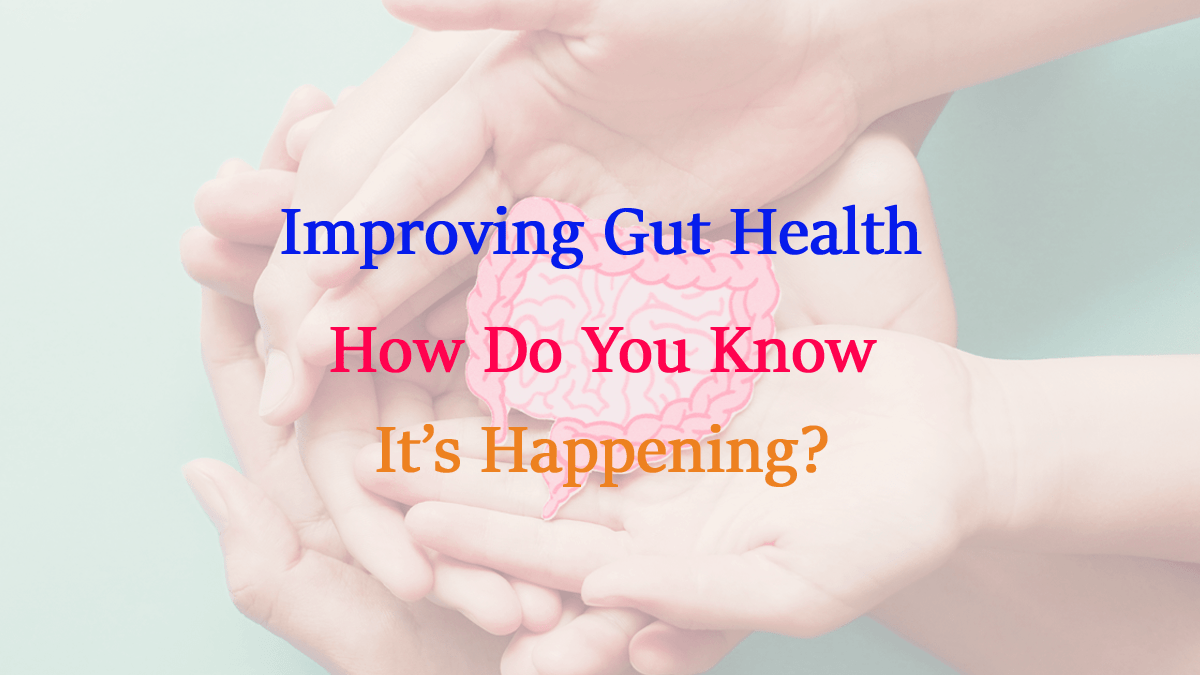 Improving Gut Health: How Do You Know It’s Happening?